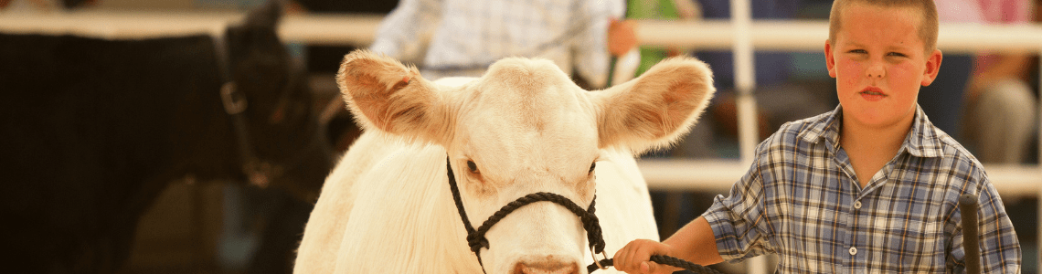 Jr. Fair Info – Erie County Fair, Sandusky, OH